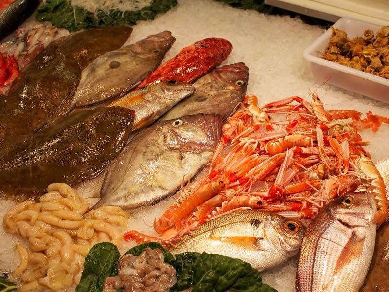 El Xaco – Blog de Guiacat